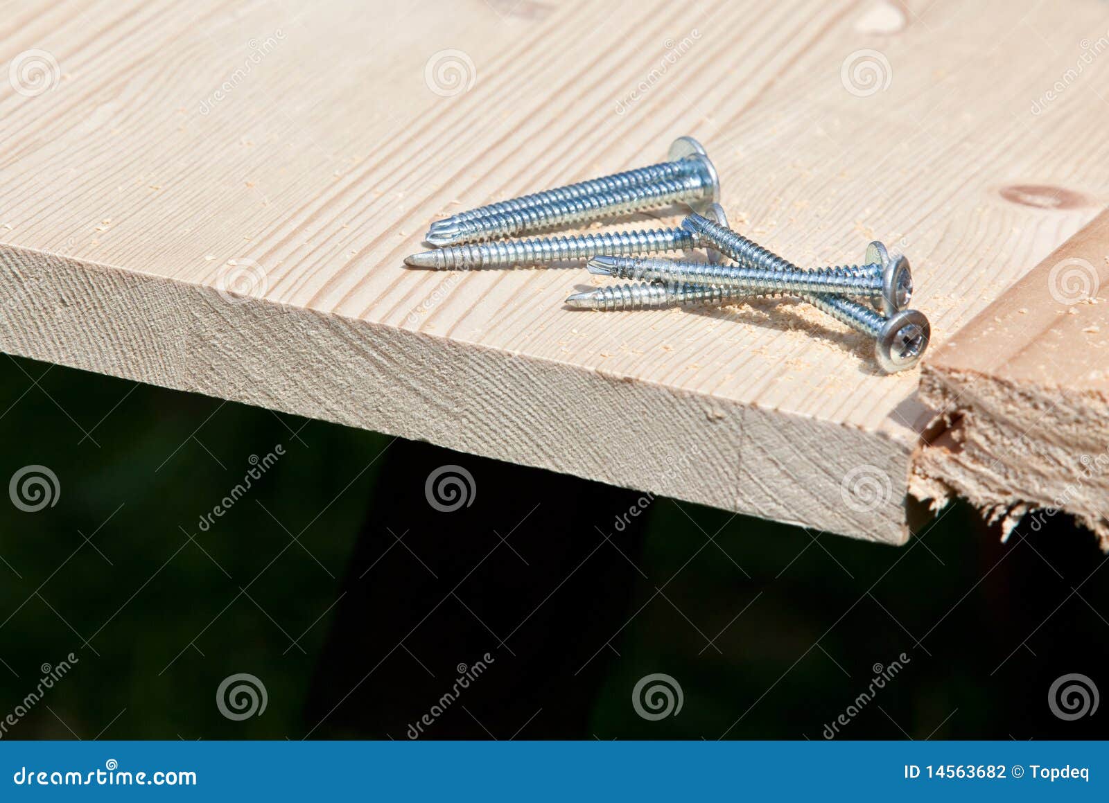 Six Steel Screws on Wood Plank Stock Photo - Image of smooth, hardwood ...