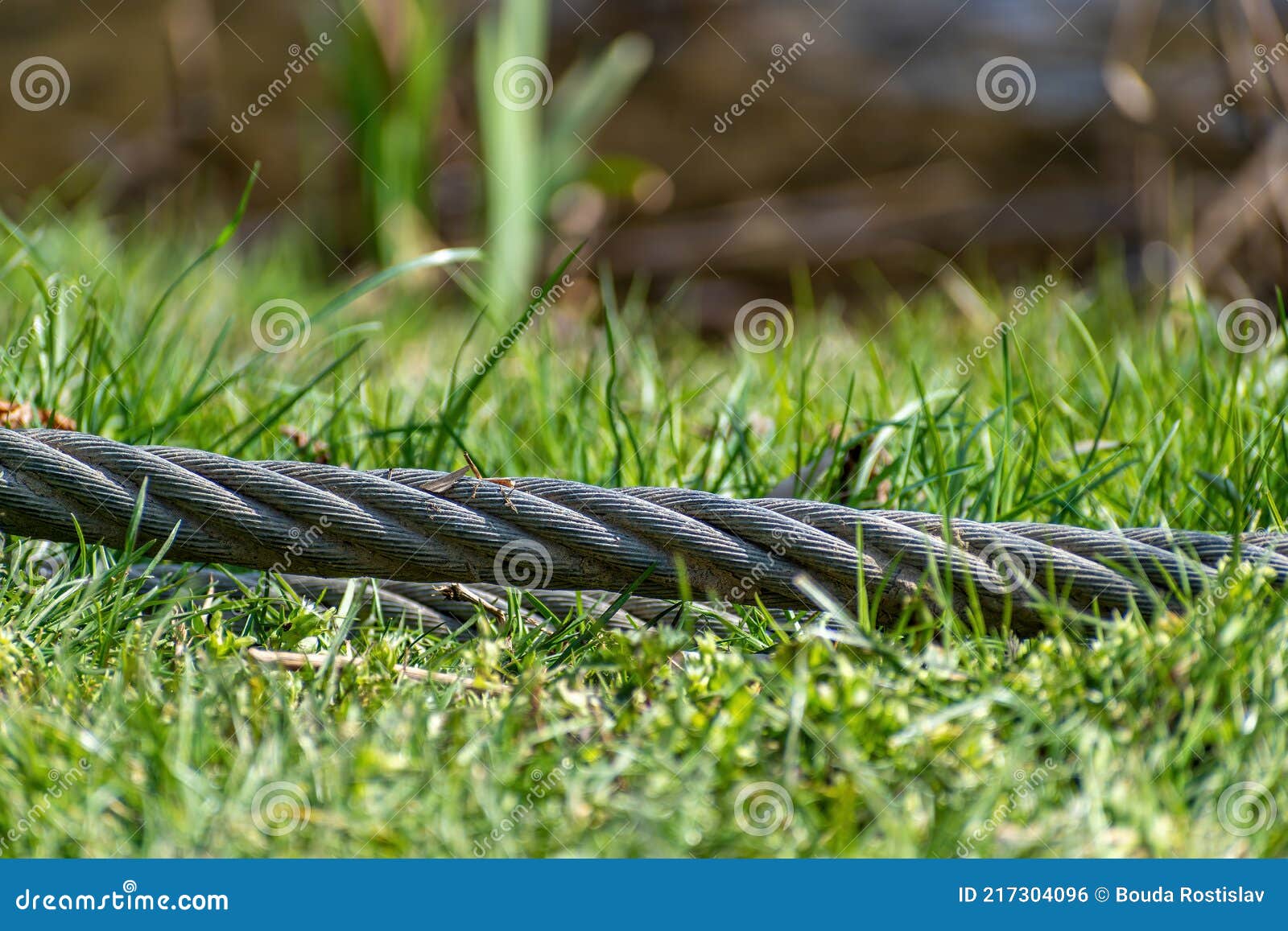 Six-strand Rope, Steel Rope Lying in the Grass Stock Photo - Image of ...
