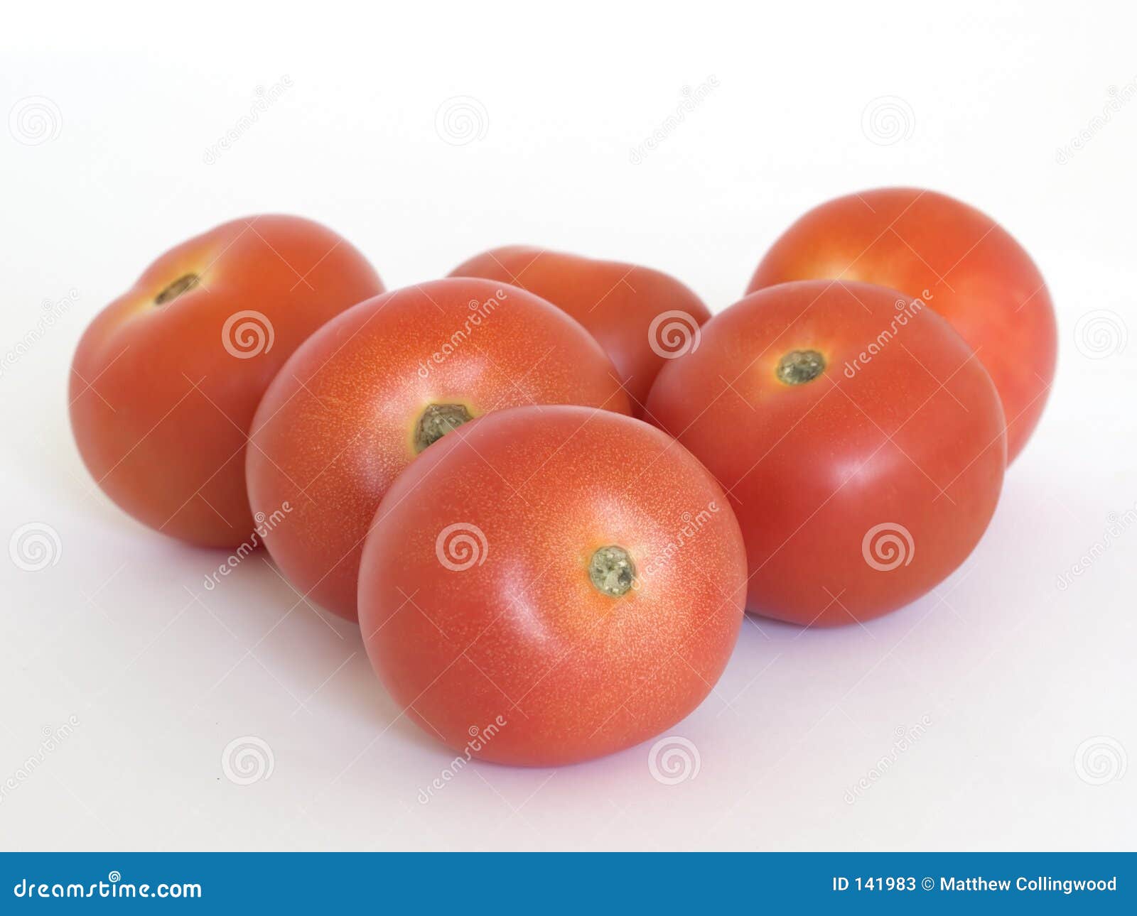 Six Tomatoes stock image. Image of white, fruit, ingredient - 141983
