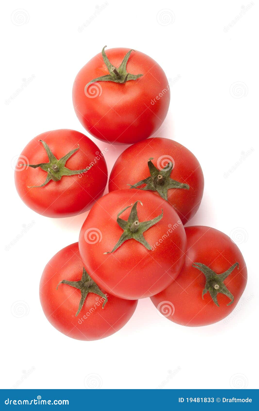 Six tomatoes stock image. Image of horizontal, fruit - 19481833