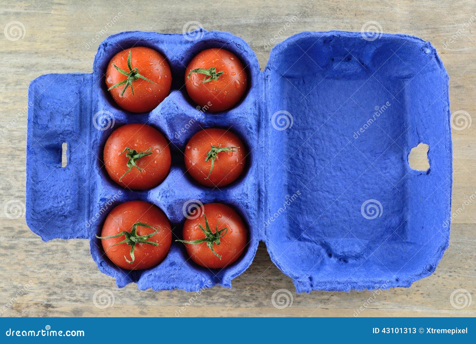 Six Tomatoes stock image. Image of metaphor, colorful - 43101313