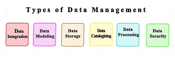 Types of Data Management stock photo. Image of data - 303511770