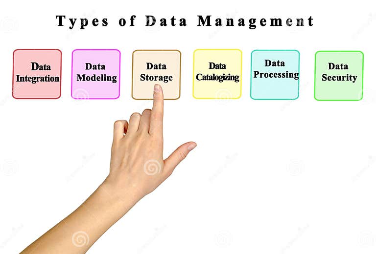 Types of Data Management stock photo. Image of modeling - 303511862