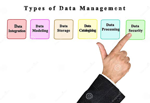Types of Data Management stock image. Image of concept - 303512001