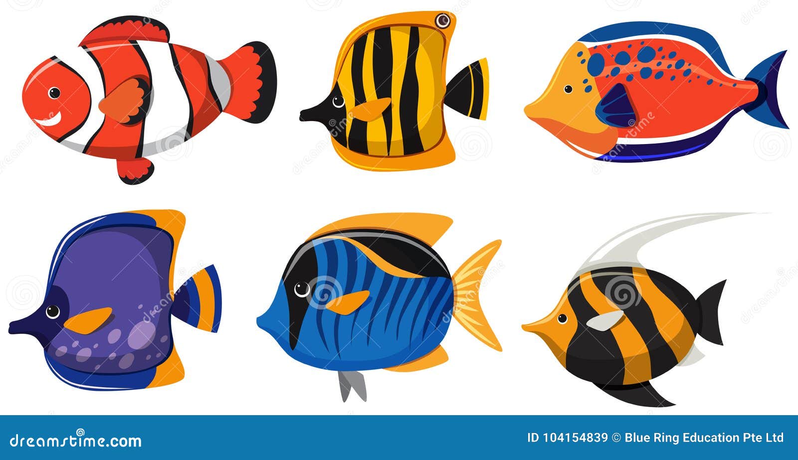 Six Types of Fish on White Background Stock Vector - Illustration of ...