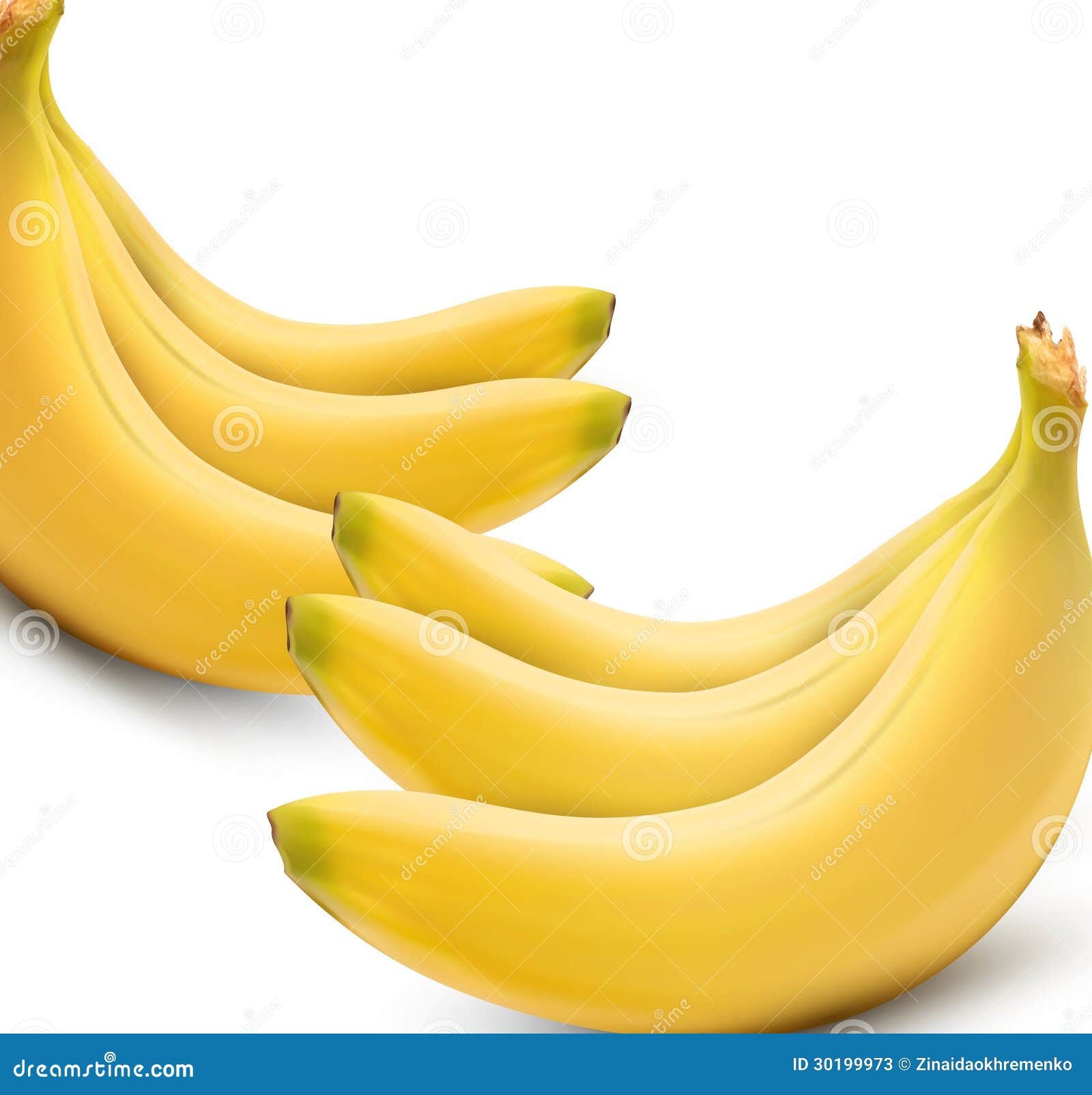 Six Vector Bananas on White Background Stock Vector - Illustration of ...