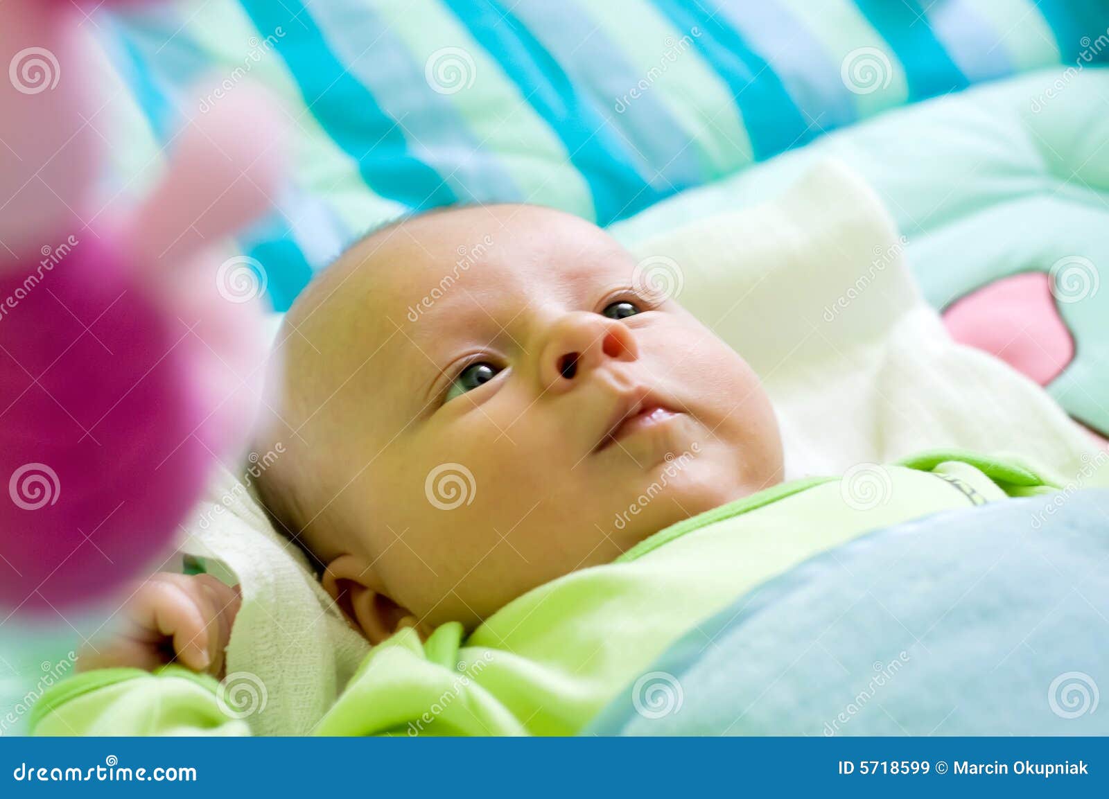Six Week Baby Serious Look Royalty-Free Stock Photography ...