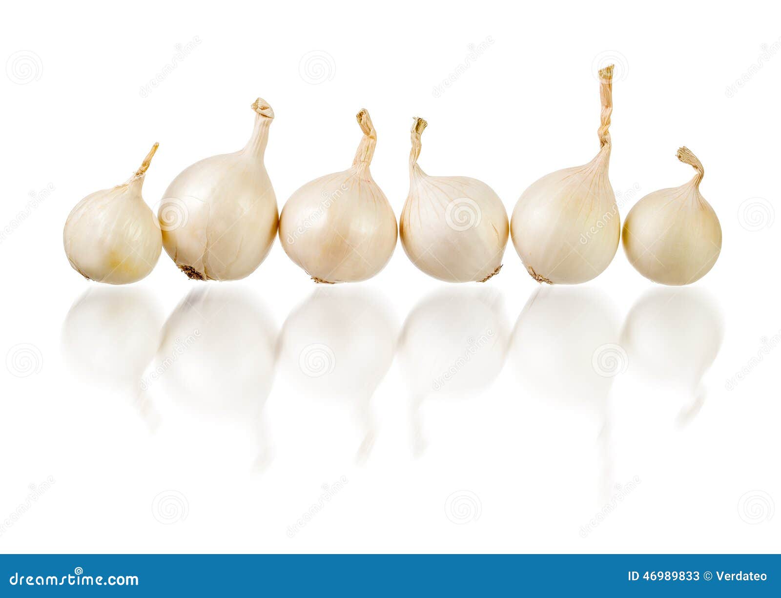 Six White Onions Over White Background Stock Image - Image of vegetable ...