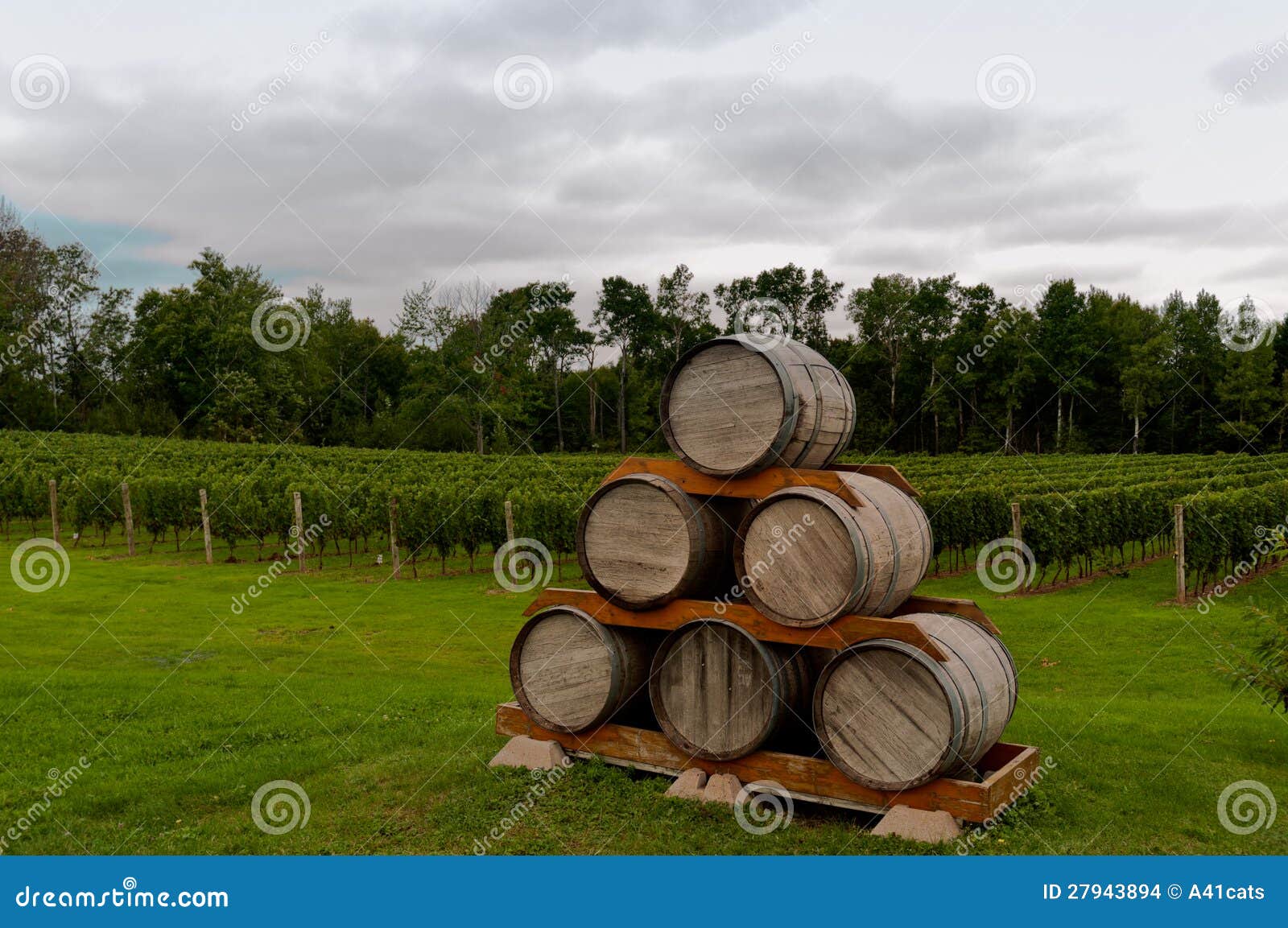 Six Wooden Barrels Stacked Up Stock Photo - Image of grape, field: 27943894