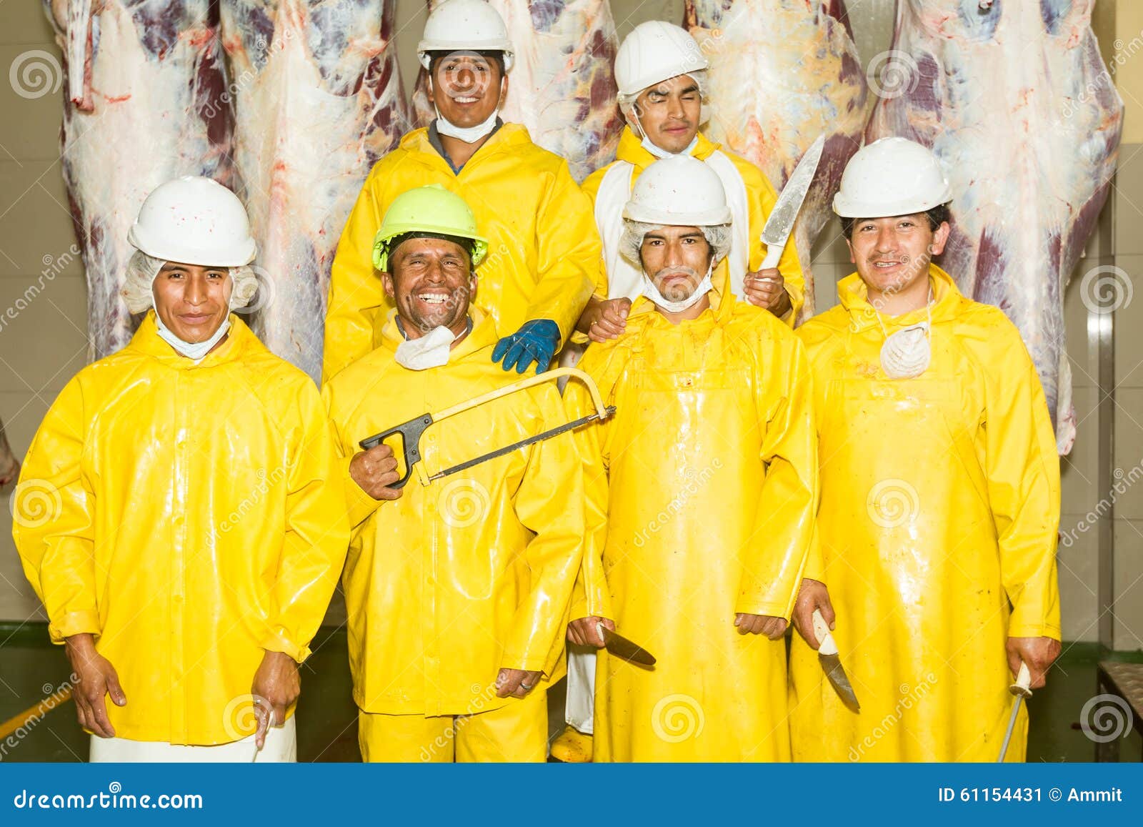 Six Workers in a Medium Size Slaughterhouse Stock Image - Image of ...