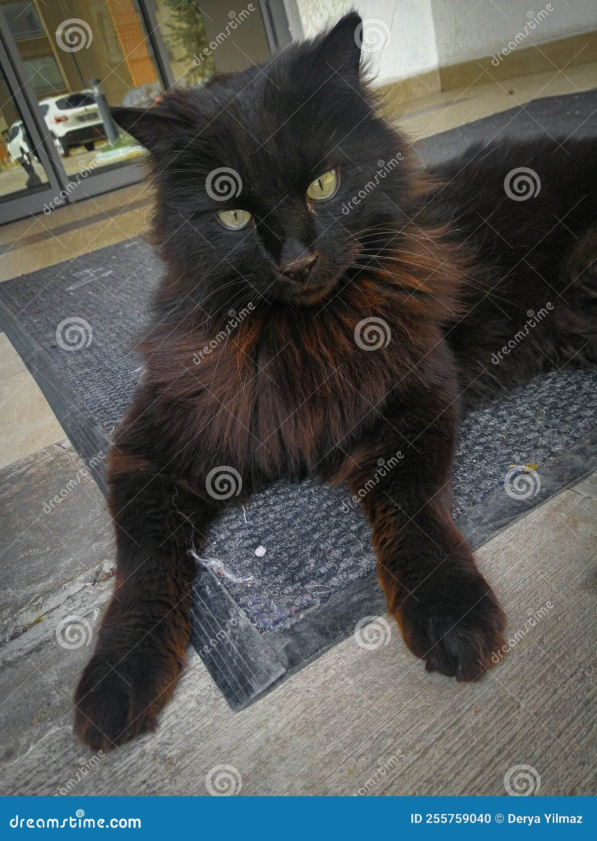 Royalty Free Images, Cartoons, Illustrations And Photos Designed By ...