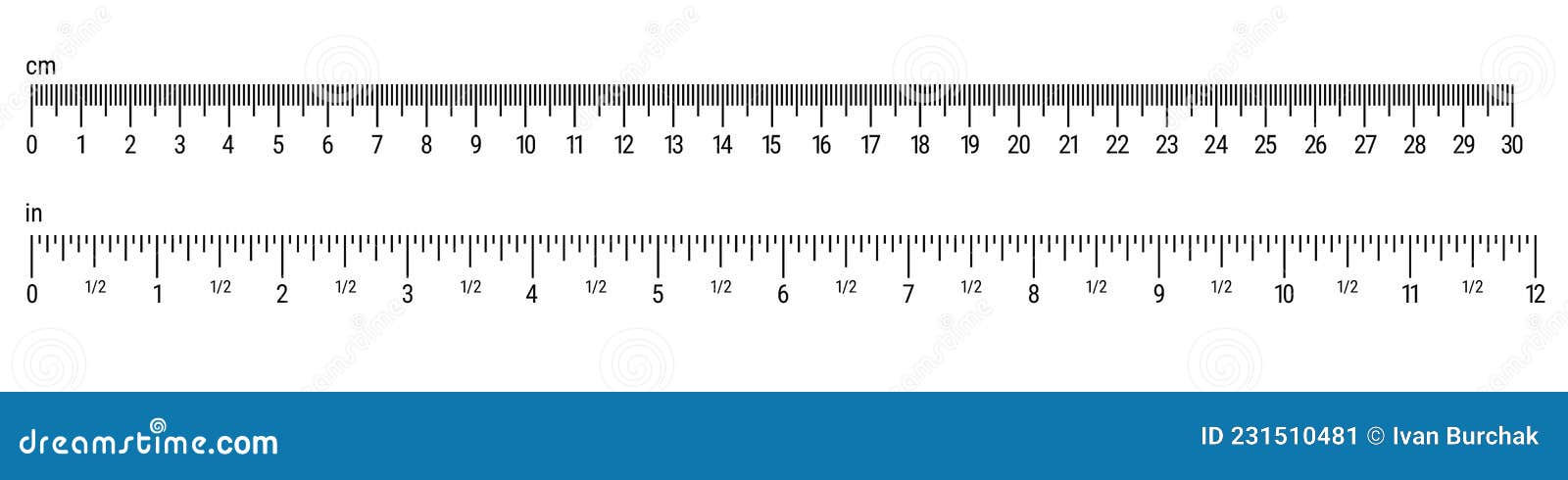 Size Indicators with Different Unit Scales. Flat Vector Illustration ...