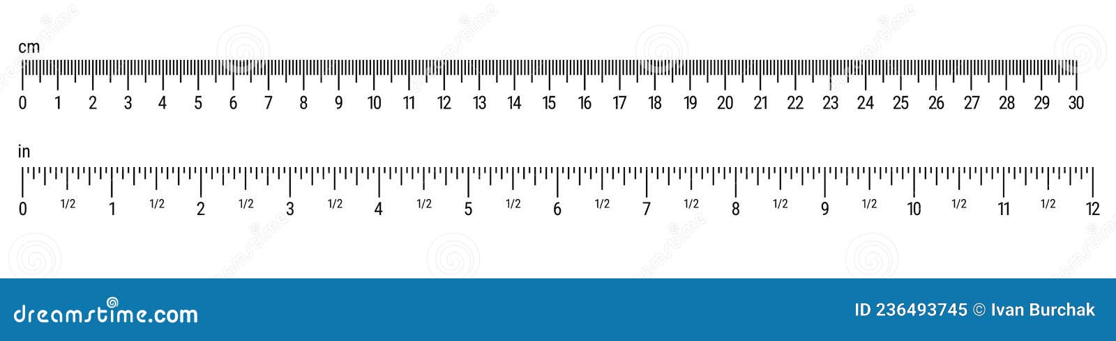 Size Indicators with Different Unit Scales. Flat Vector Illustration ...
