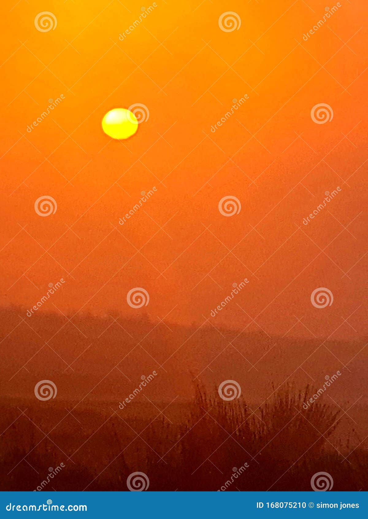 Sizzling Morning Sun stock photo. Image of sizzling - 168075210
