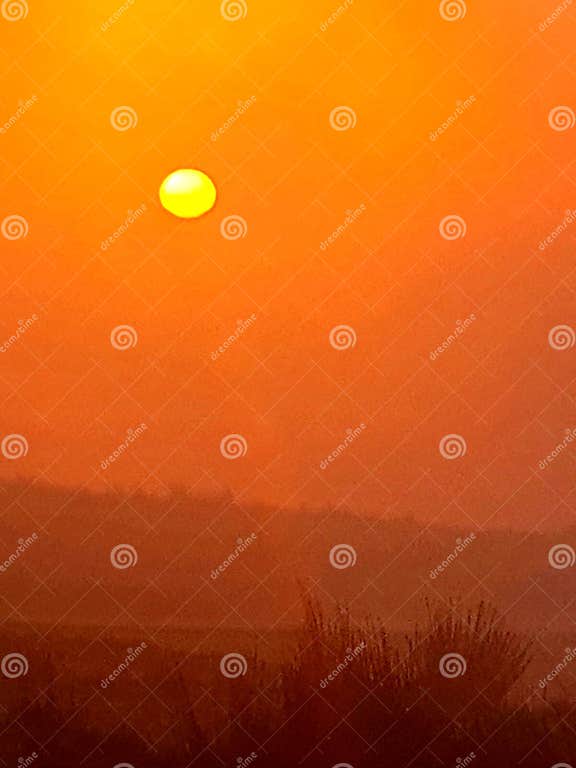 Sizzling Morning Sun stock photo. Image of sizzling - 168075210