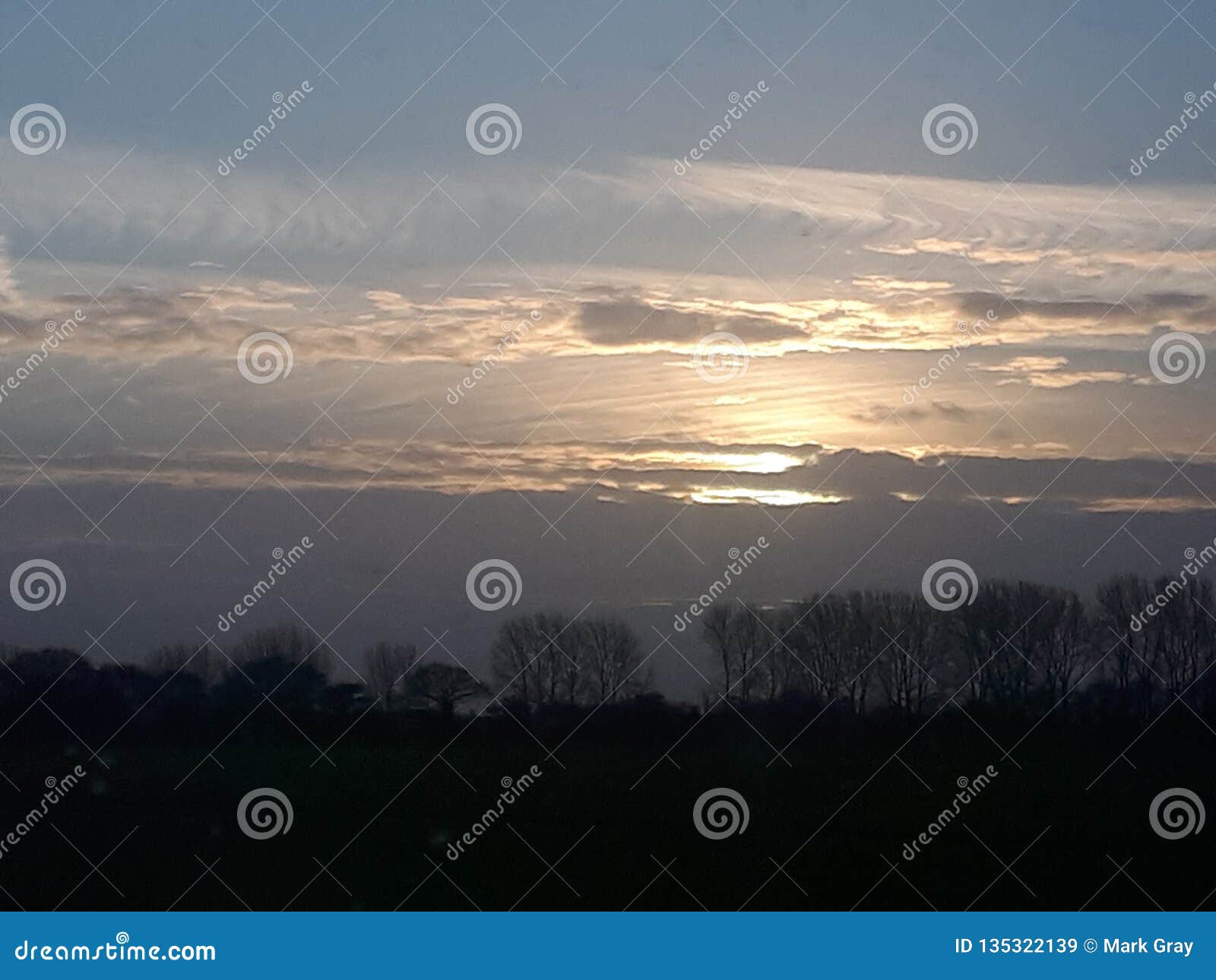 Sizzling Sunset stock image. Image of trees, dark, sizzling - 135322139