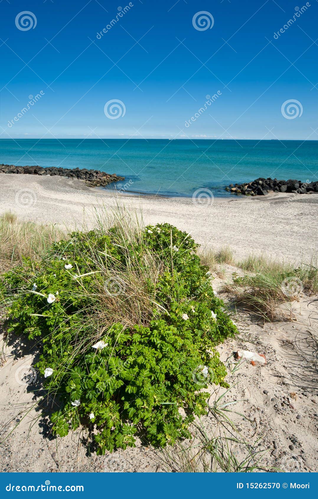 Skagen stock photo. Image of denmark, danish, outdoors - 15262570