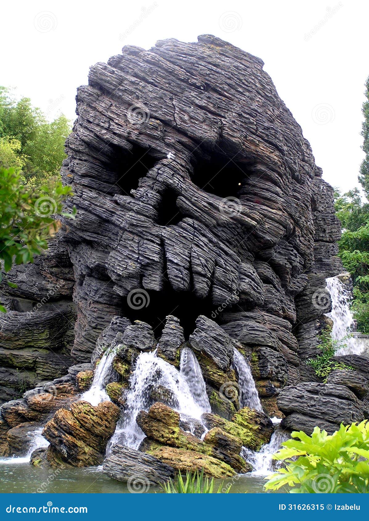 Skalle redaktionell foto. Bild av träd, skalle, öga, växter - 31626315