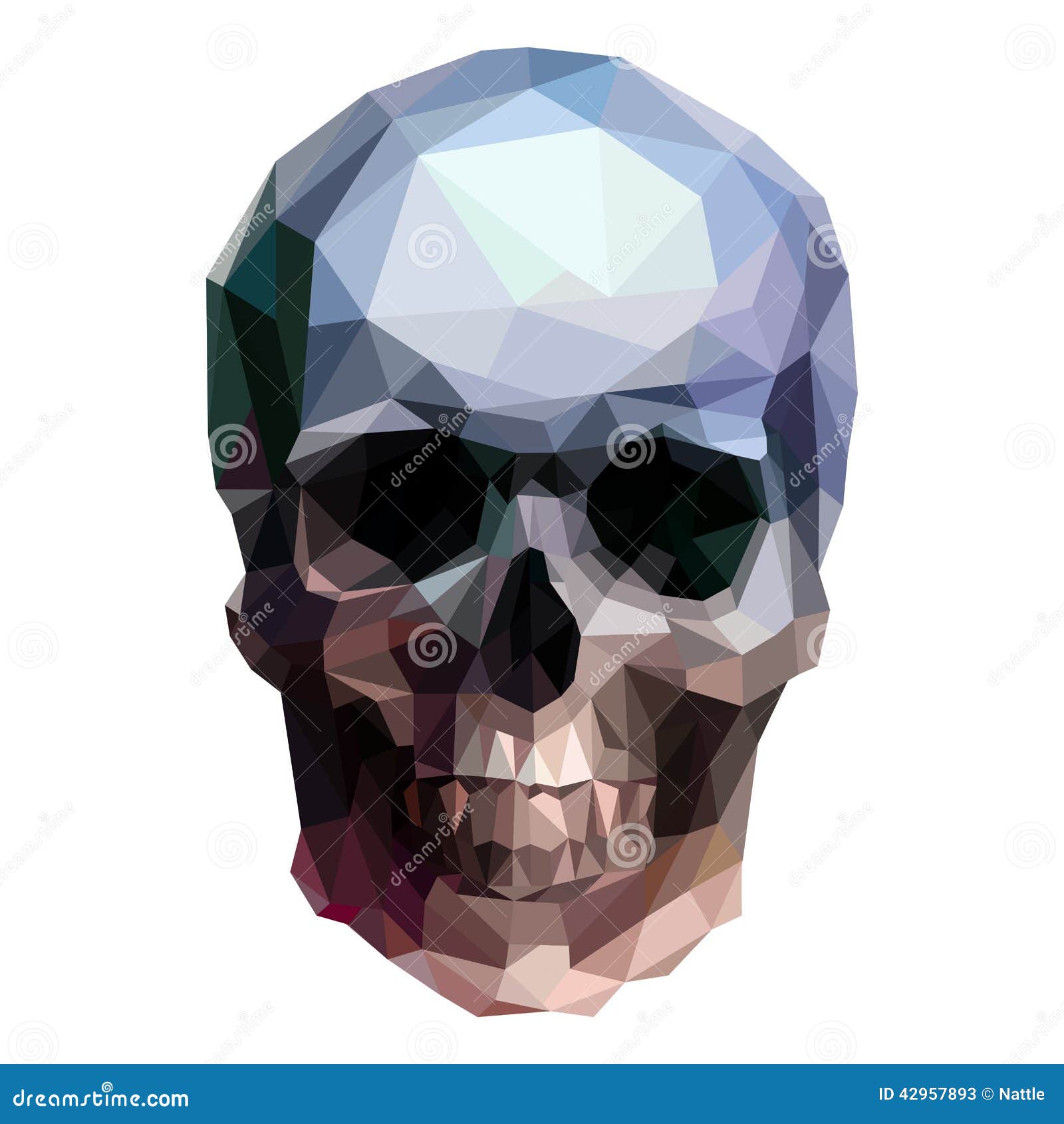 Skalle stock illustrationer. Illustration av bakgrund - 42957893