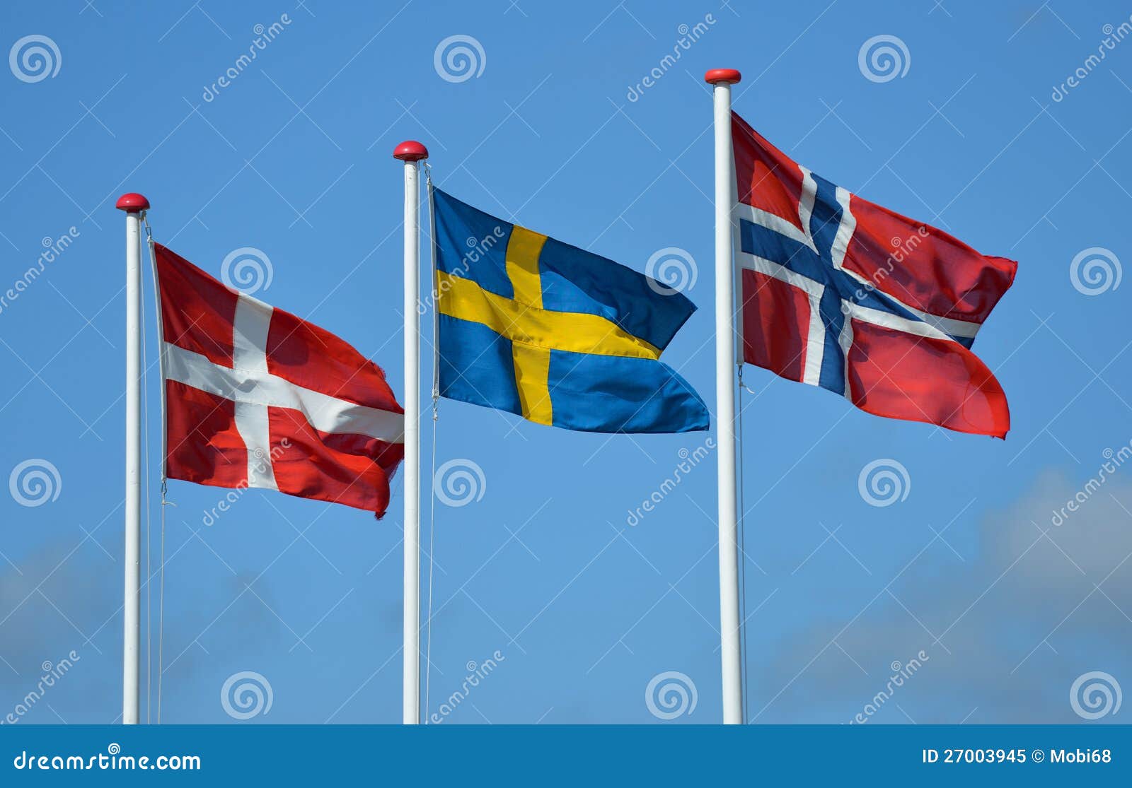 Skandinaviska flaggor fotografering för bildbyråer. Bild av svett ...