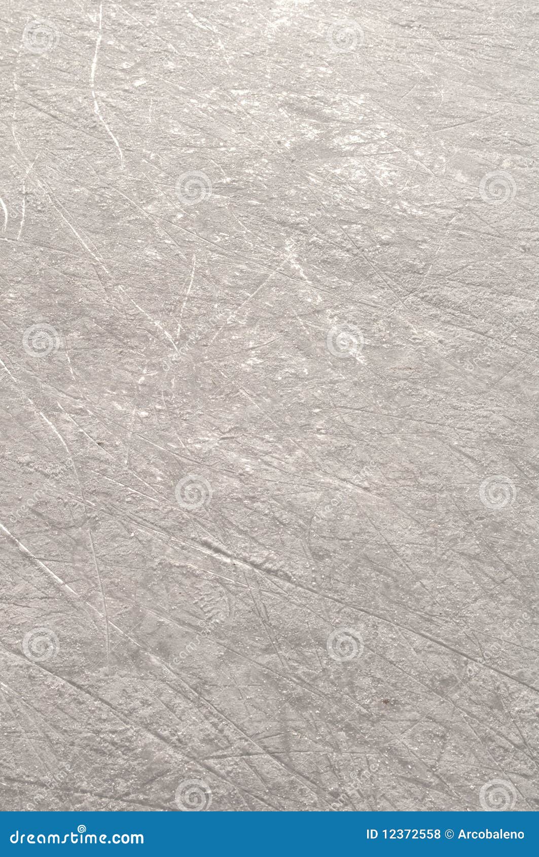Skate marks on ice stock photo. Image of outdoor, holiday - 12372558