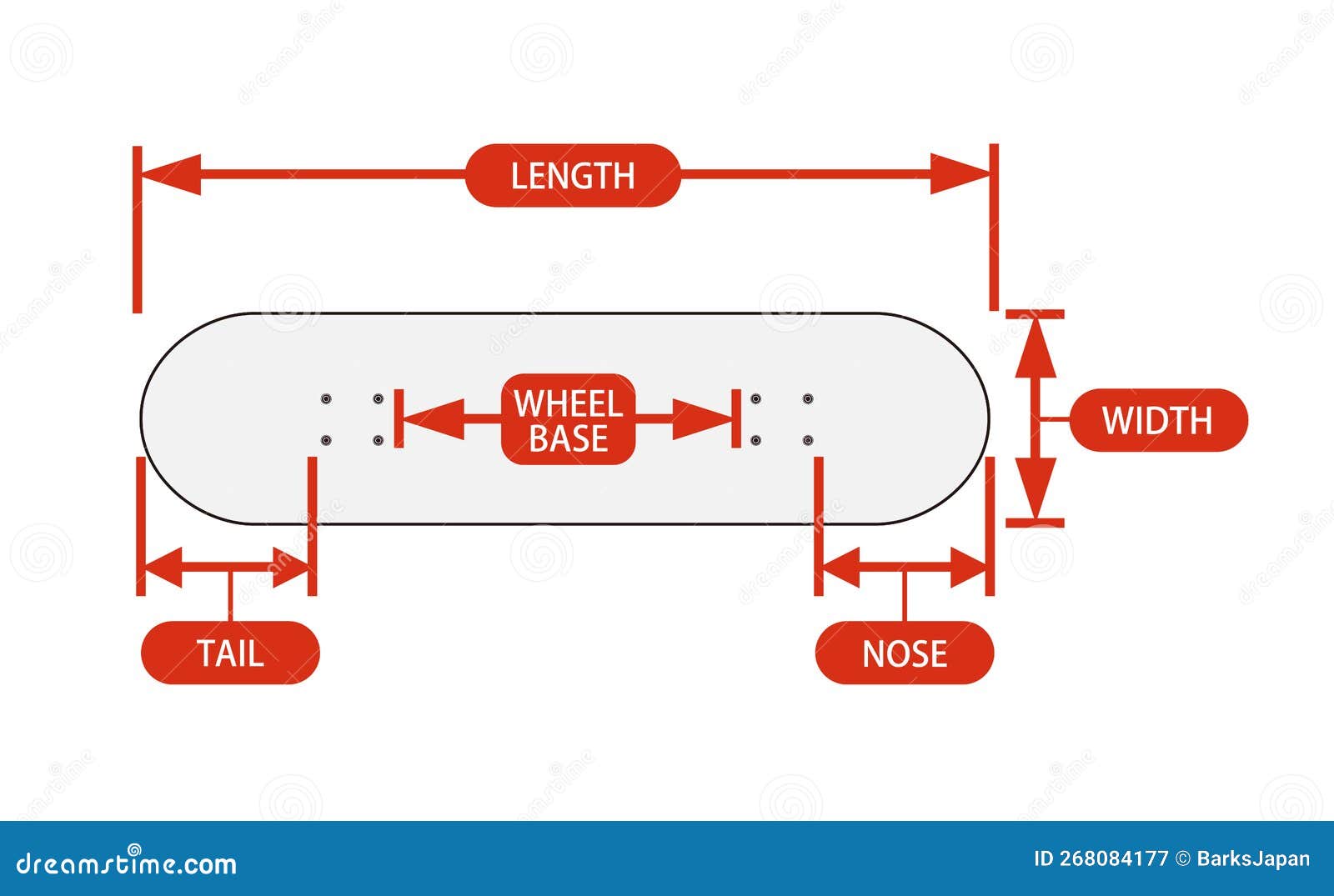 Skateboard Size Chart Vector Illustration Stock Vector - Illustration ...