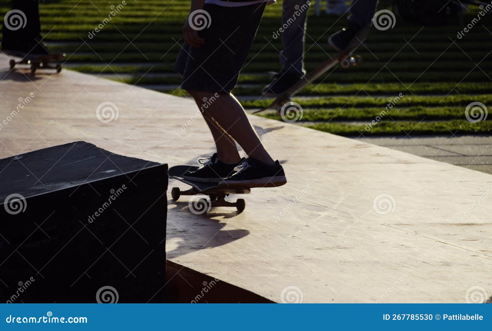 Skateboarder in a park stock photo. Image of obstacle - 267785530