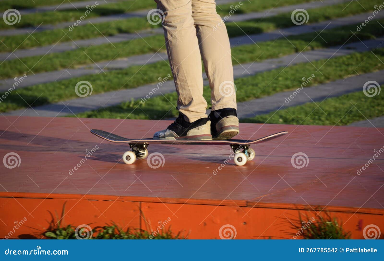 Skateboarder in a park stock photo. Image of longboard - 267785542