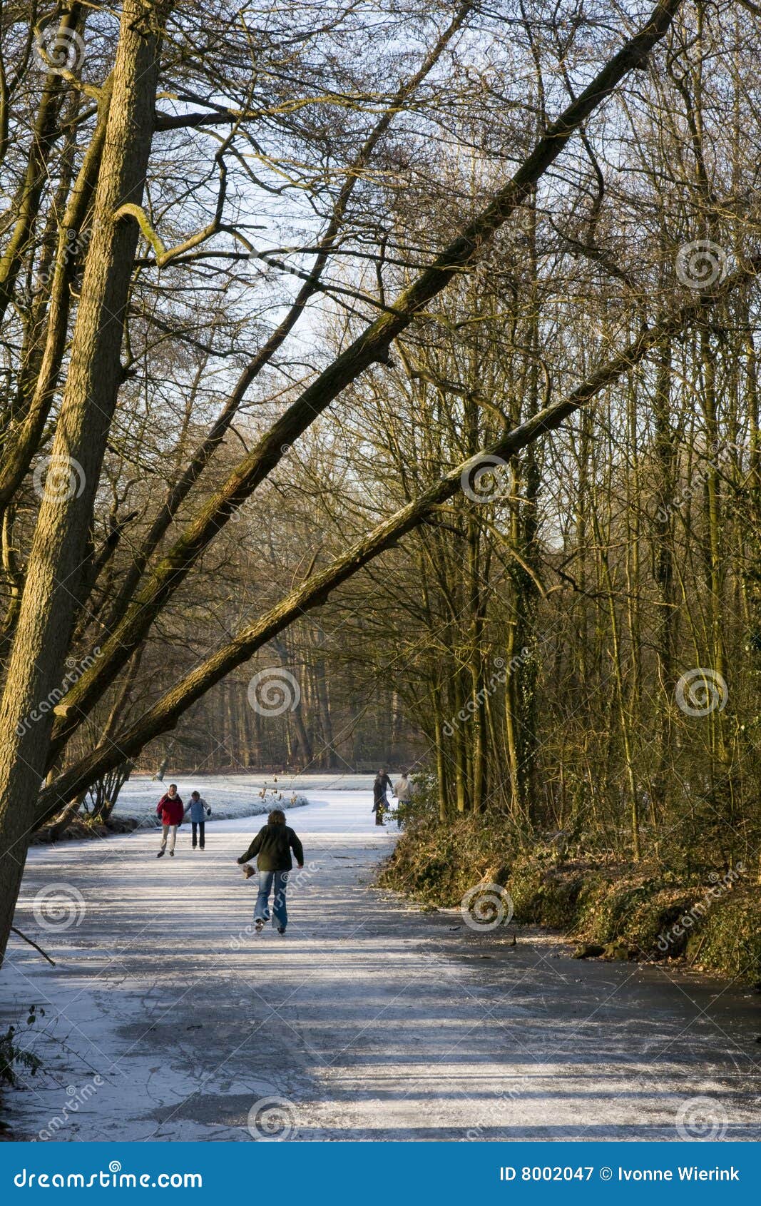Skating at natural ice stock image. Image of landscape - 8002047