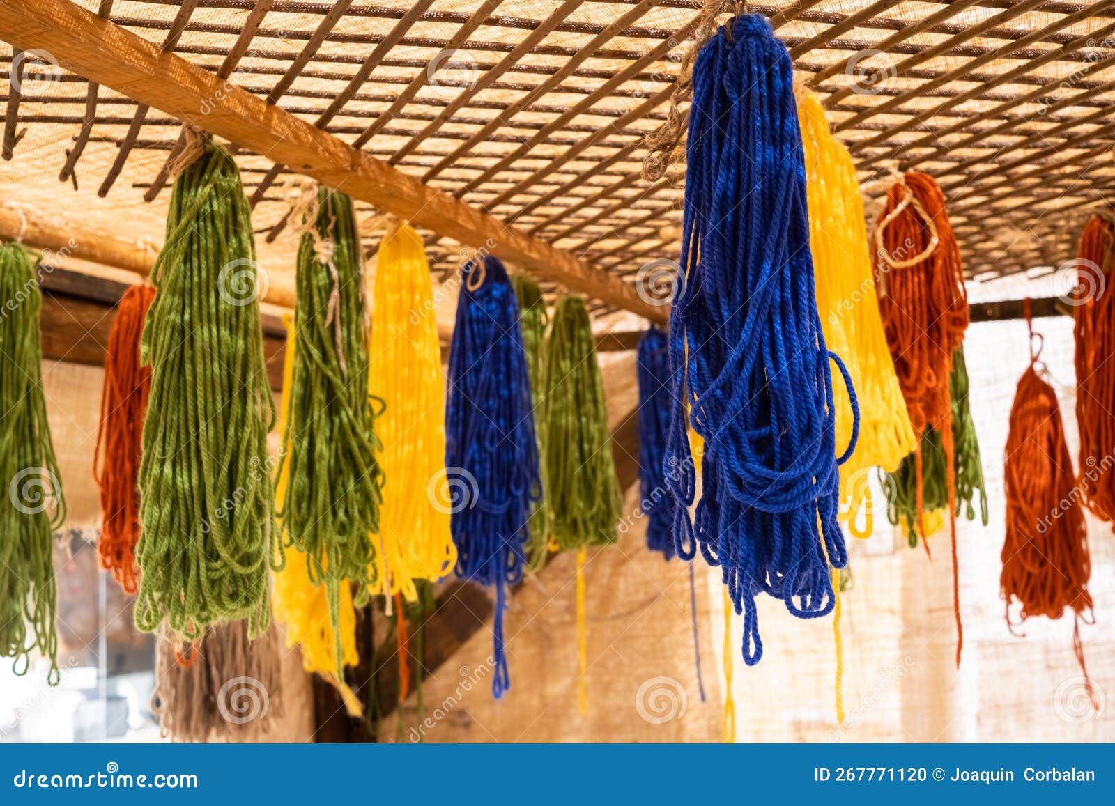 Skeins of Handmade Raw Wool Yarn of Various Colors, Hung while Drying ...
