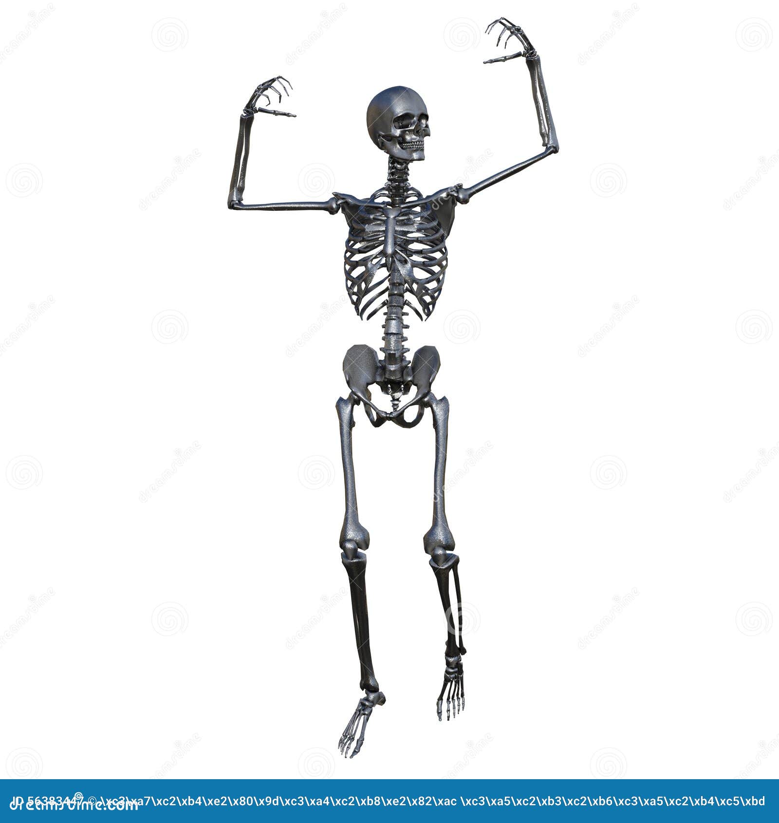 Skelet stock afbeelding. Image of drie, archeologie, dimensionaal ...