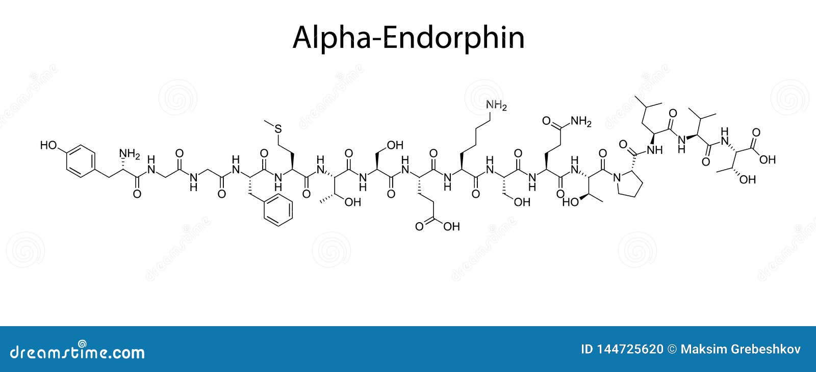 Alpha-endorphin Endogenous Opioid Peptide Molecule. Skeletal Formula ...