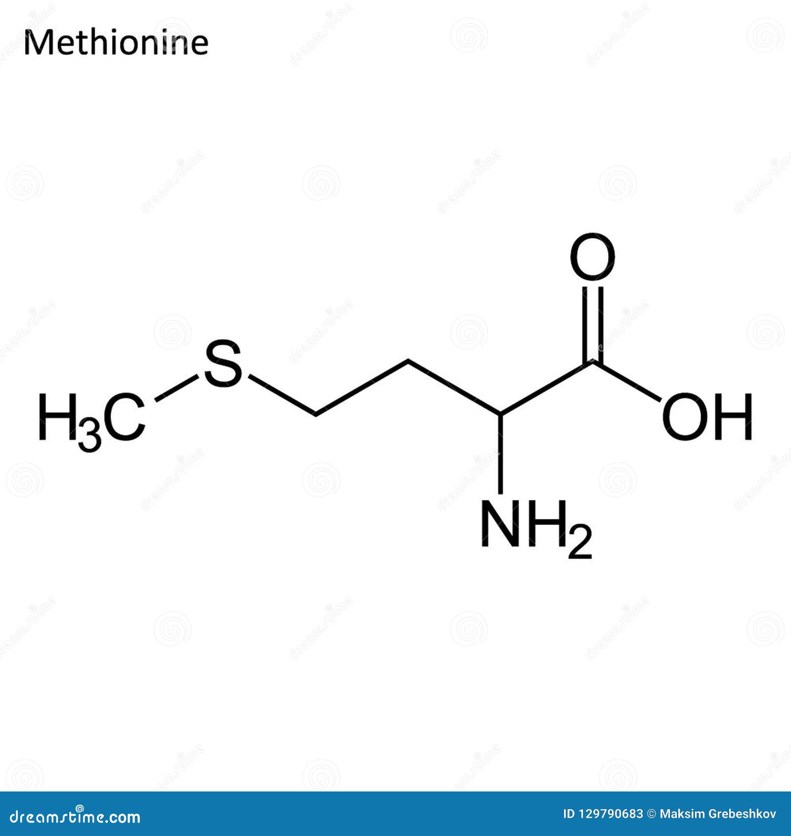 Skeletal Formula of Methionine Stock Illustration - Illustration of ...