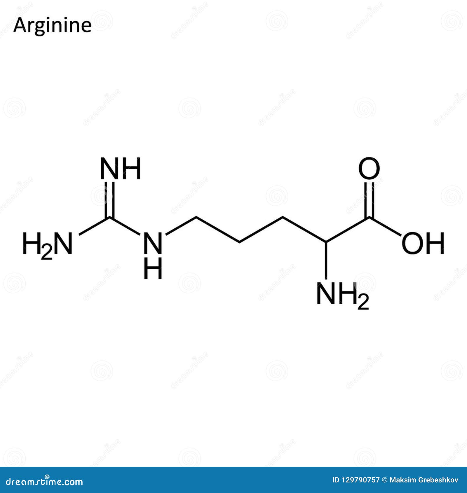 Skeletal Formula of Argenine Stock Illustration - Illustration of ...