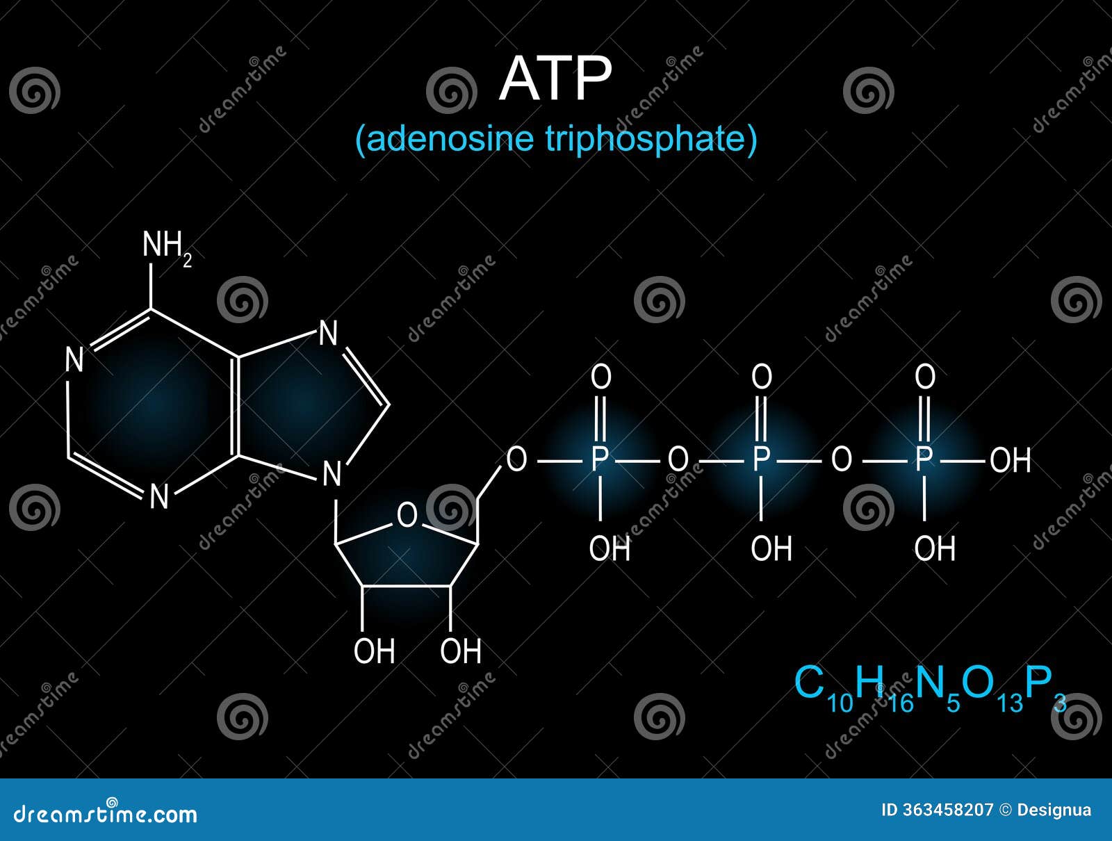 Skeletal Formula Of ATP Cartoon Vector | CartoonDealer.com #363458207