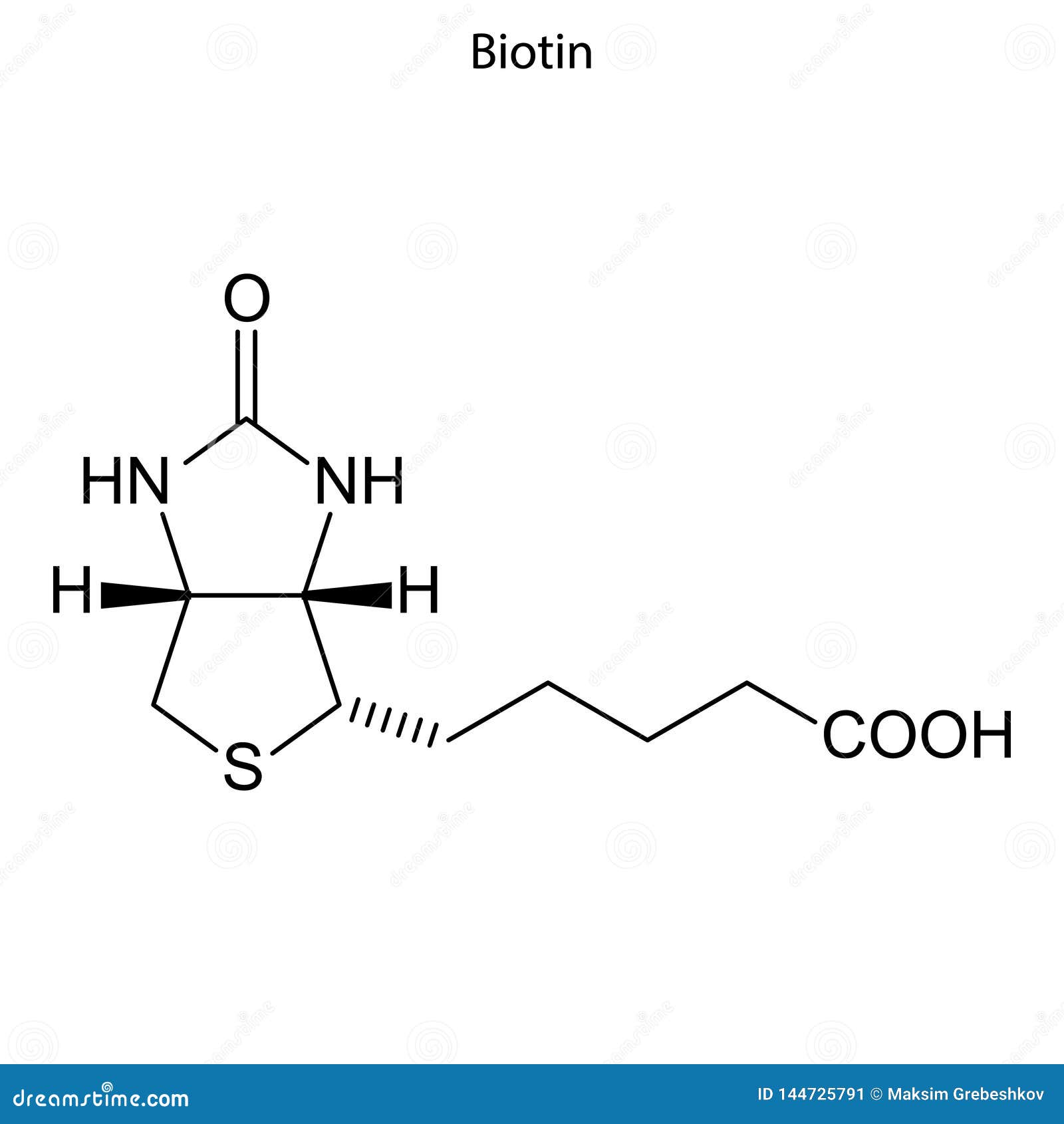 Biotin Vitamin B7 Chemical Formula And Skeletal Structure Vector ...