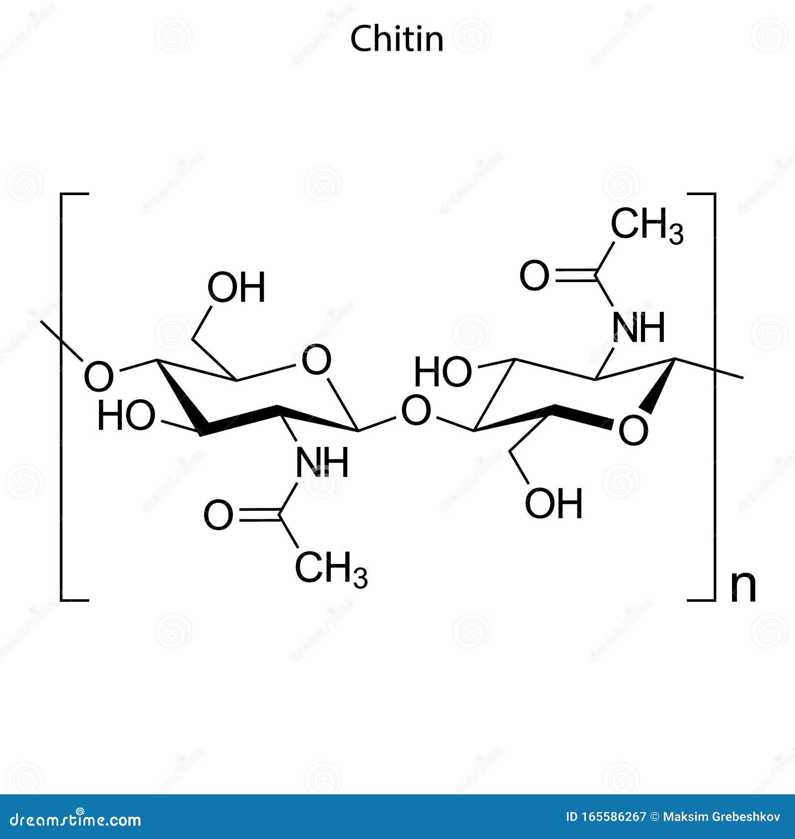 Chitin, Chemical Structure, Cell Walls Component In Insect Exoskeletons ...