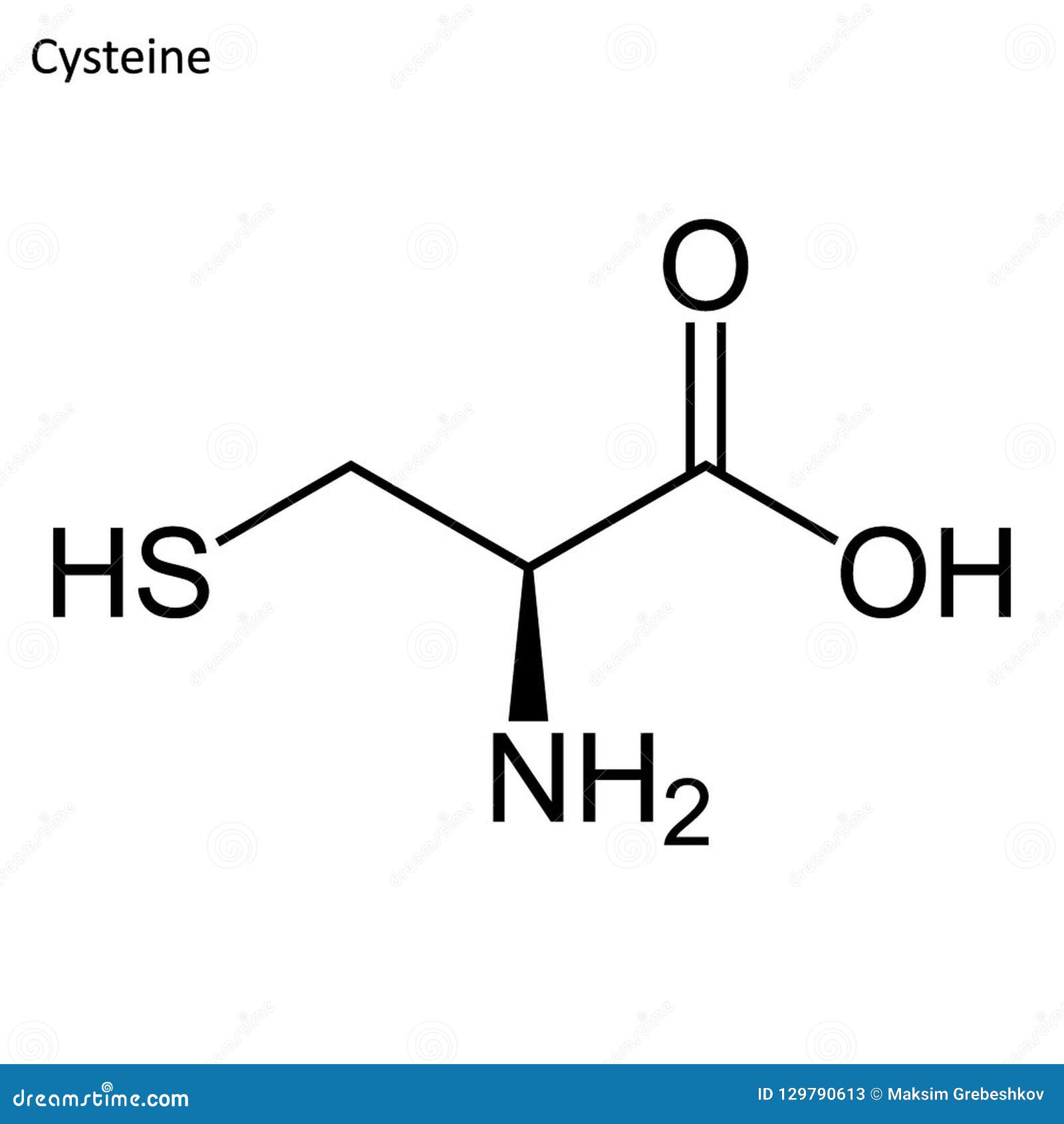 Skeletal Formula of Cysteine Stock Illustration - Illustration of atom ...