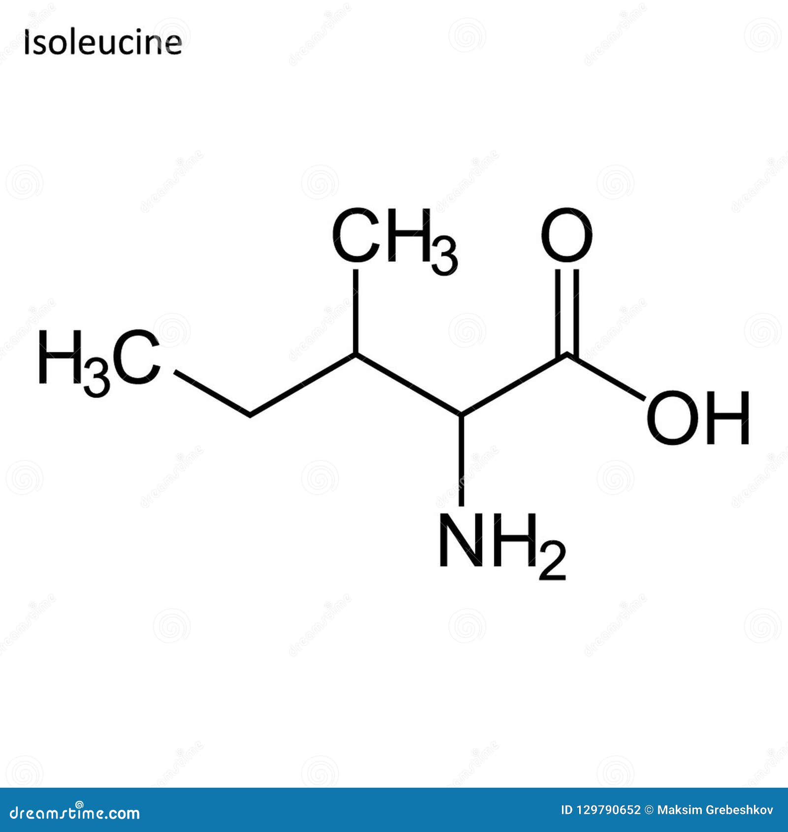 Skeletal Formula of Isoleucine Stock Illustration - Illustration of ...