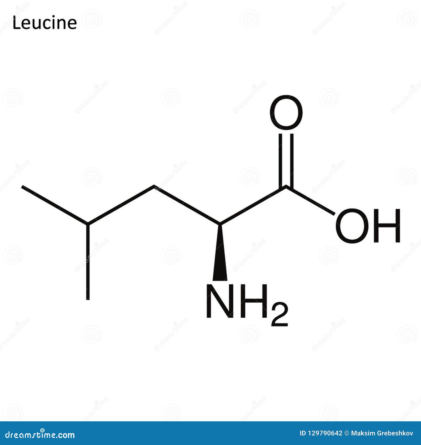 Skeletal Formula of Leucine Stock Illustration - Illustration of ...