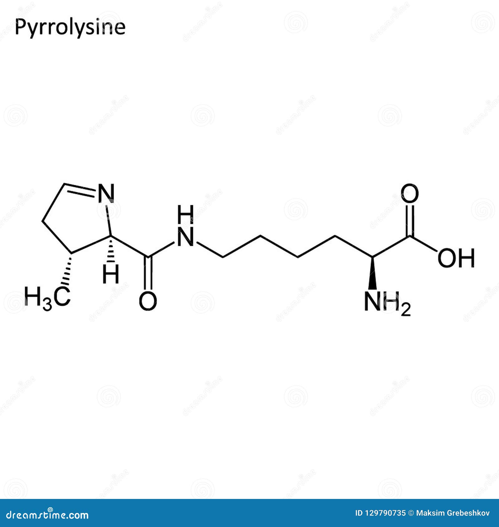 Skeletal Formula of Pyrrolysine Stock Illustration - Illustration of ...
