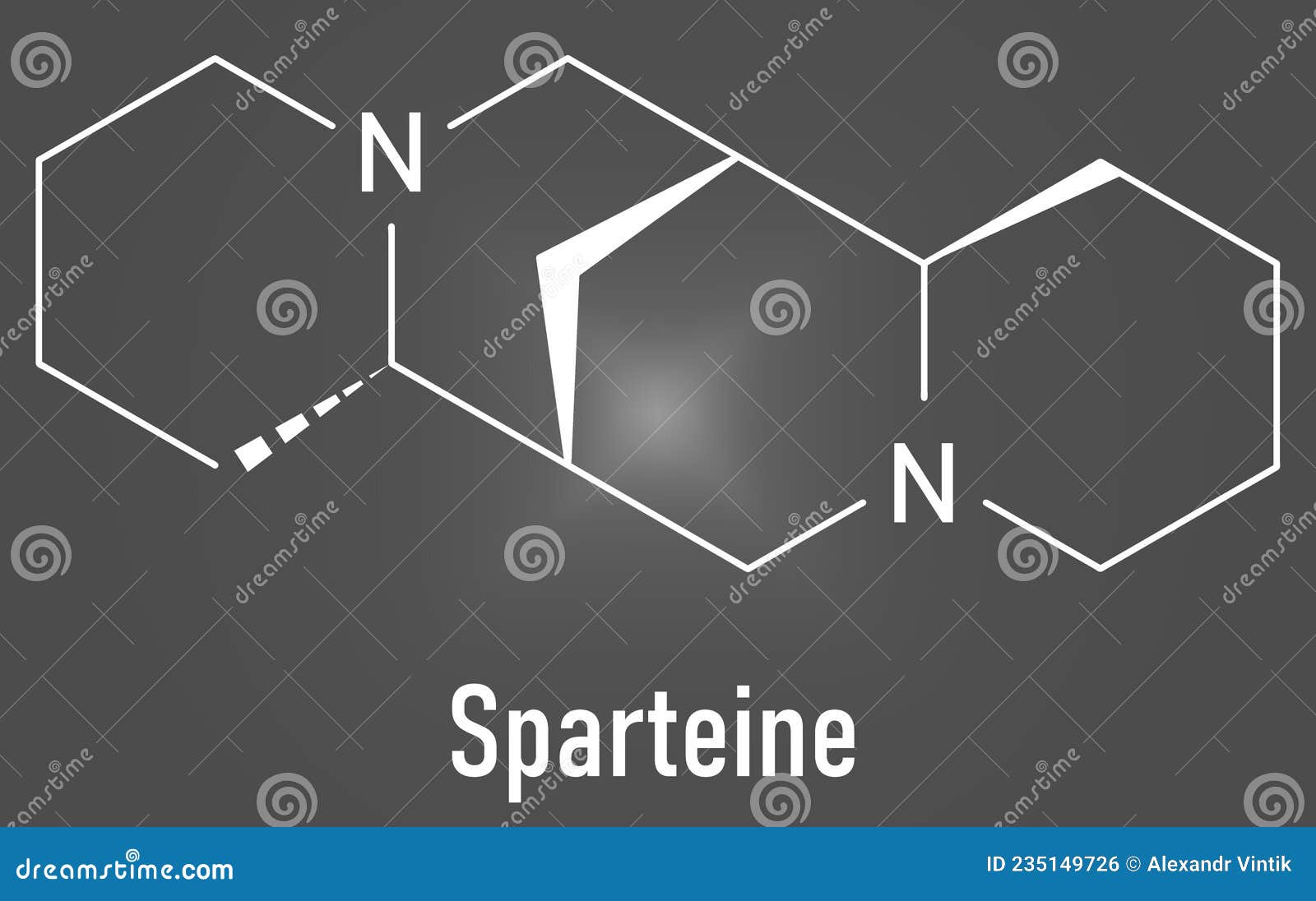 Skeletal Formula of Sparteine Scotch Broom Alkaloid Molecule. Stock ...