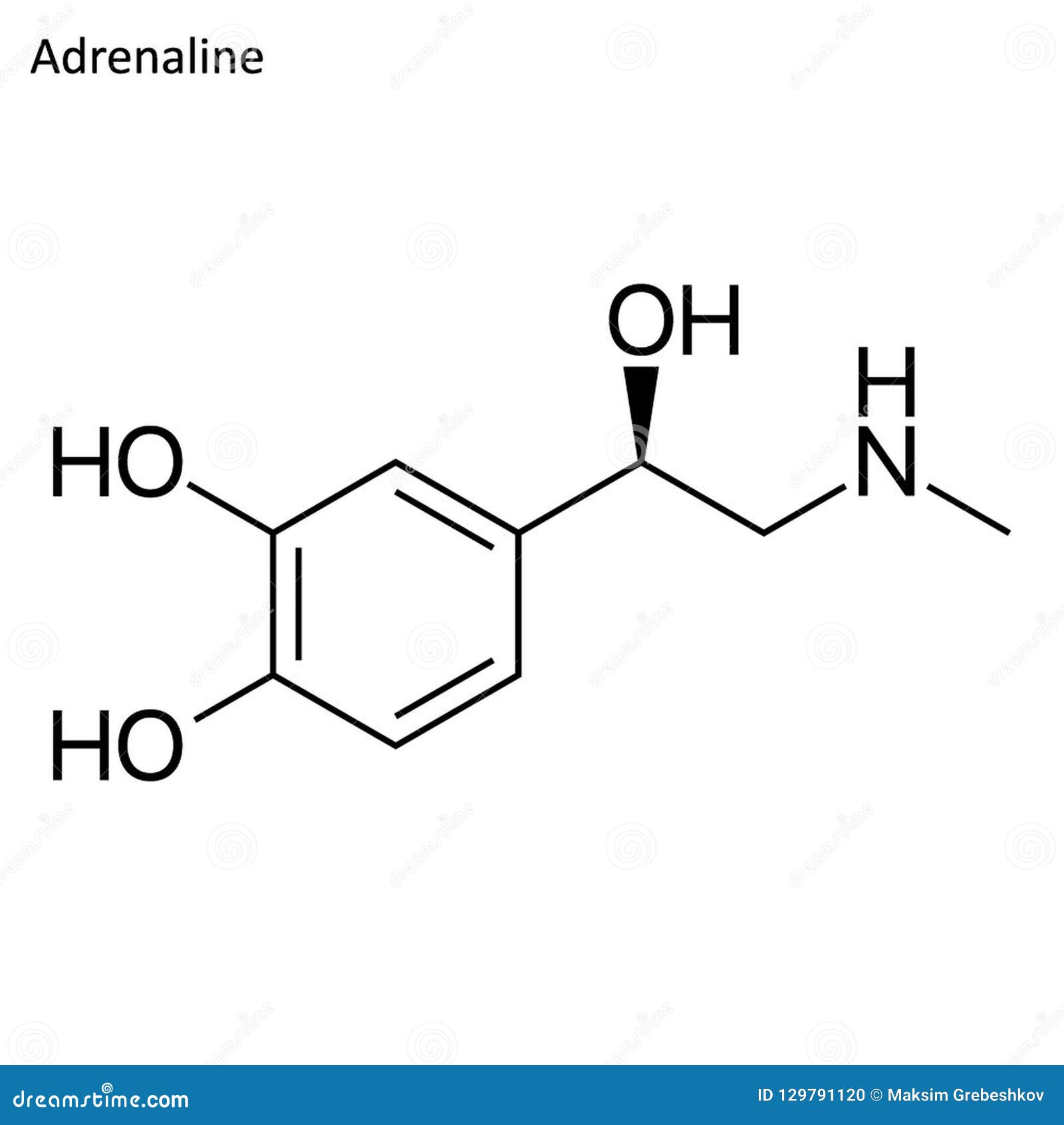 Skeletal Formula of Adrenaline Stock Illustration - Illustration of ...