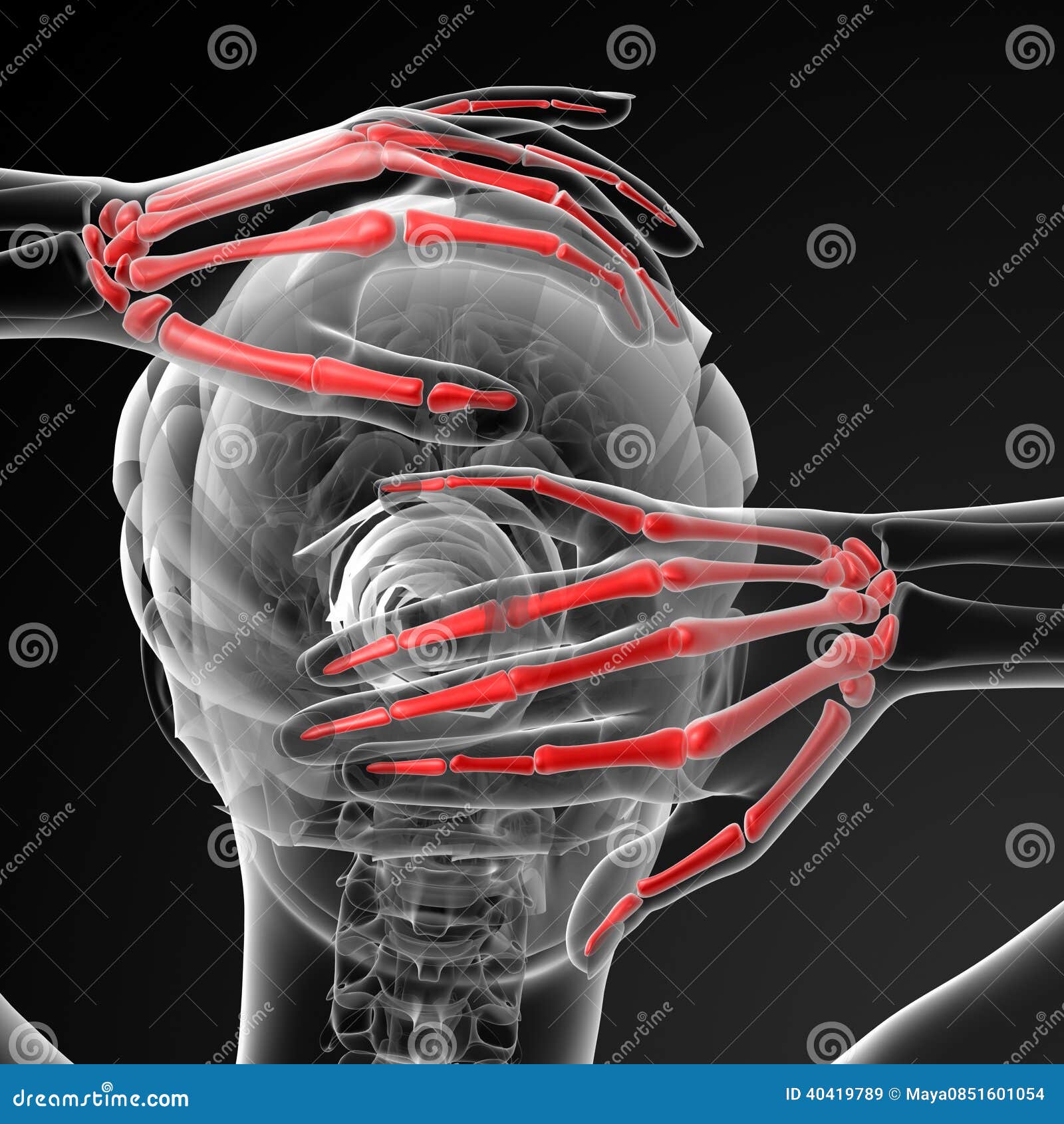 Skeletal Hand Cartoon Vector | CartoonDealer.com #9580171