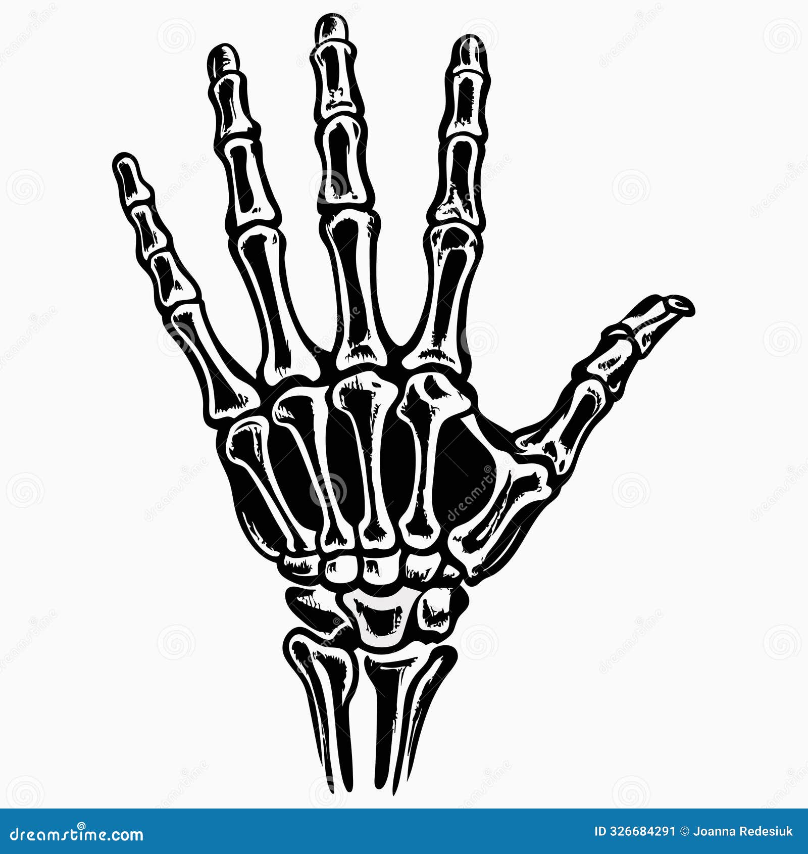A Skeletal Hand with Fingers Spread Apart is Centered Stock ...
