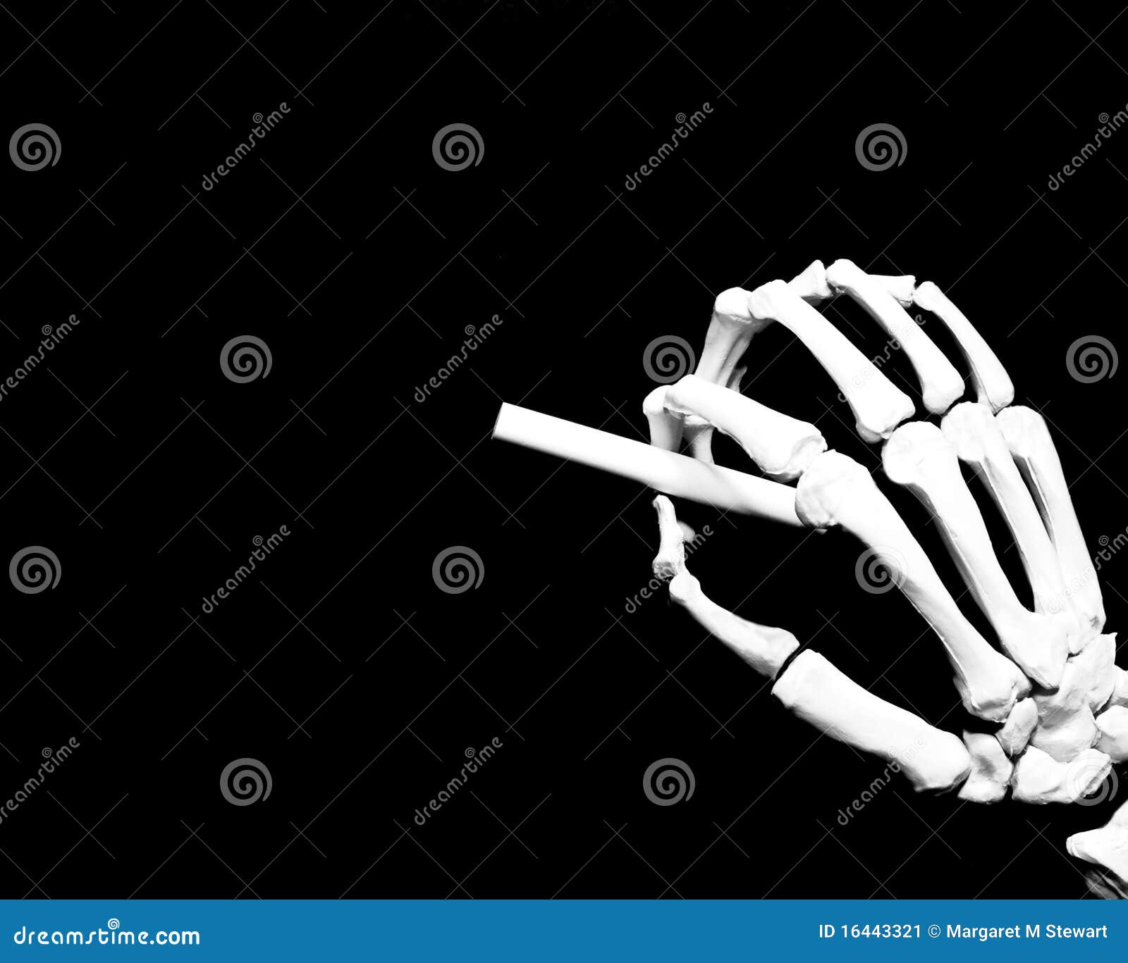 Skeletal Hand Royalty-Free Stock Image | CartoonDealer.com #26496118