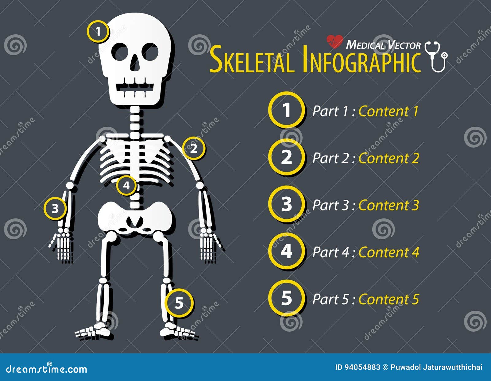 Skeletal Infographic . Flat Design . Cartoon Vector | CartoonDealer.com ...