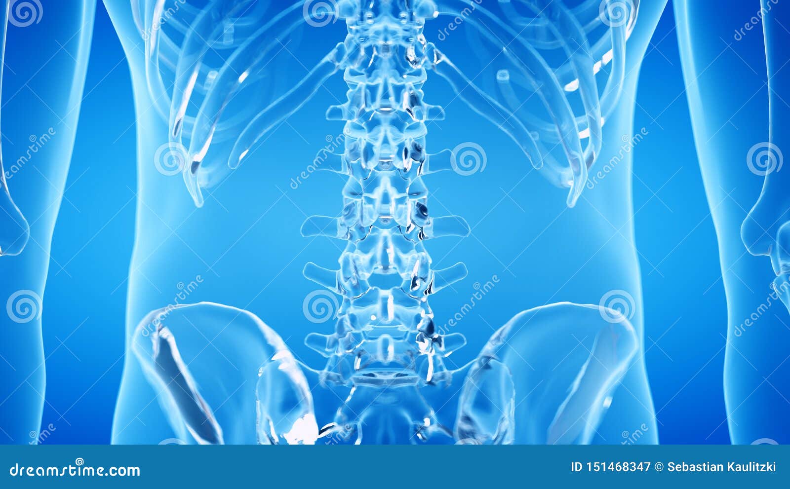 Skeletal lumbar spine stock illustration. Illustration of biology ...