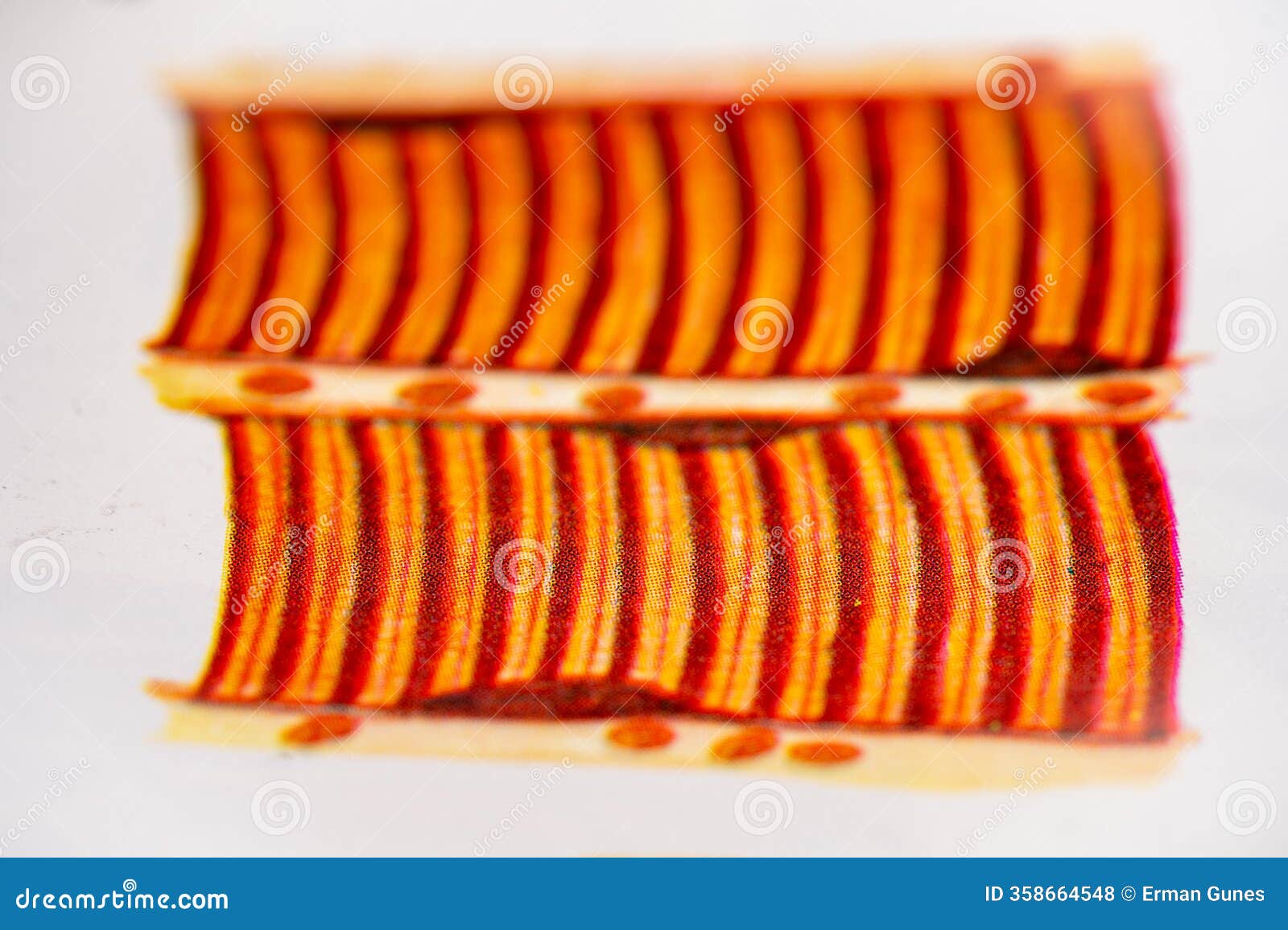 Skeletal Muscle Cells in an Anatomical Illustration Stock Photo - Image ...