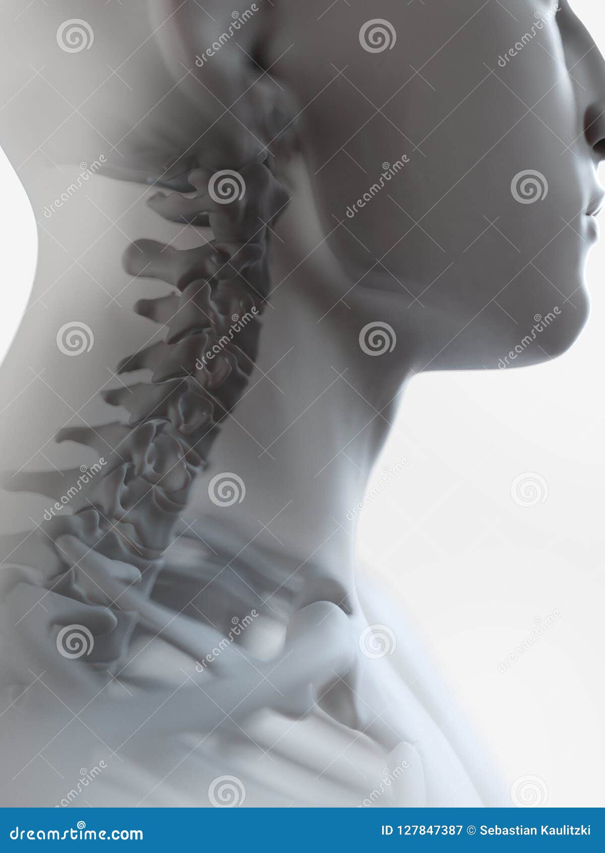 The skeletal neck stock illustration. Illustration of grey - 127847387